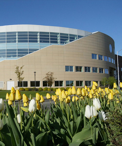 Celebrating CMU Libraries’ Employee Accomplishments 2020-2021