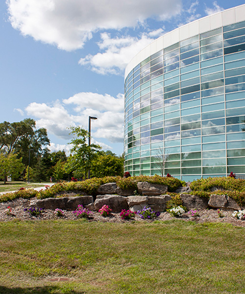 Happy 20th Anniversary Park Library!