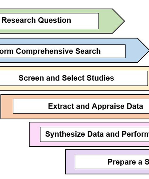 How Can the Library Help with Your Systematic Review?