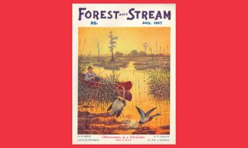 University Libraries