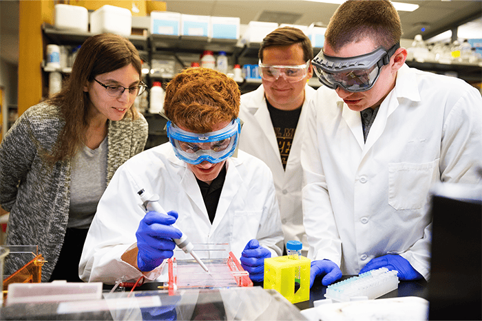 Future Honors Program Students