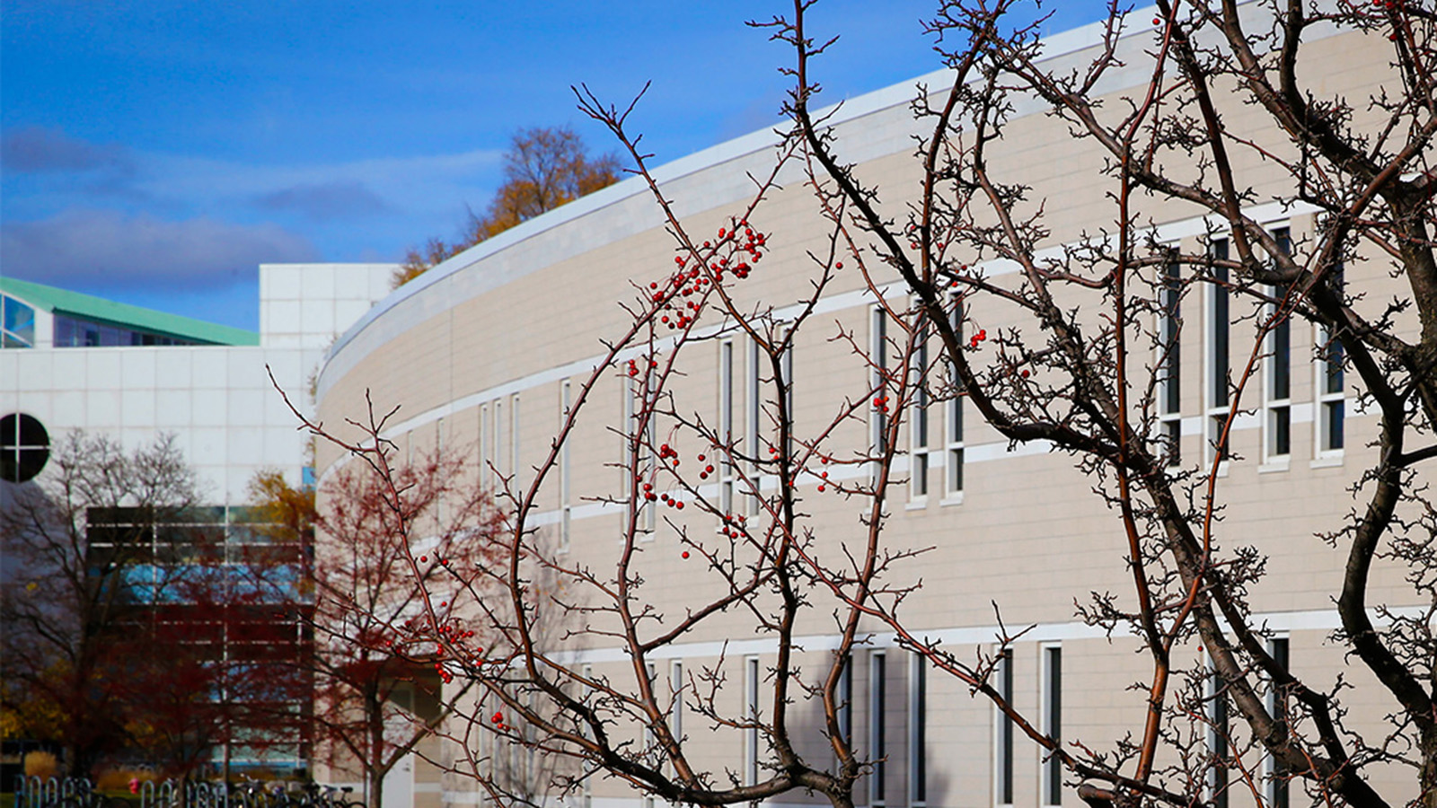 White Pines Harmoniemusik,