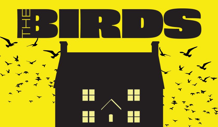 The Birds Movie Remake