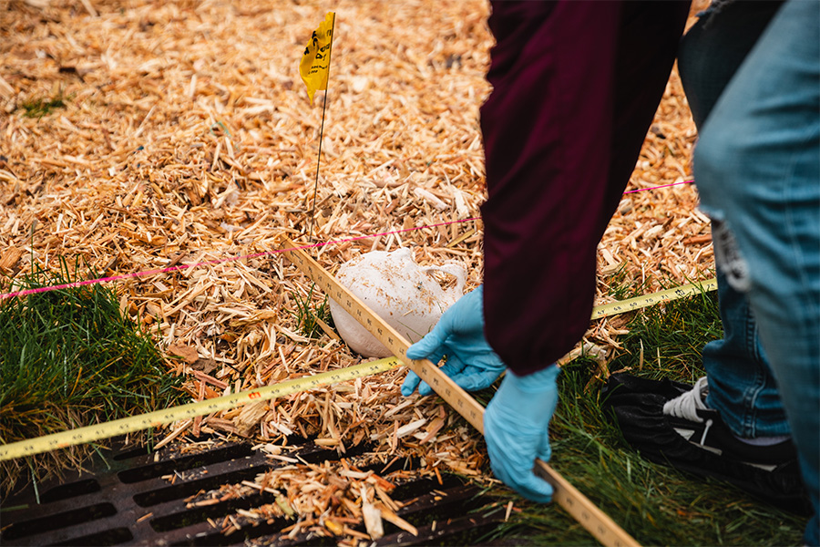 Applied Forensic Studies (Undergraduate Certificate)