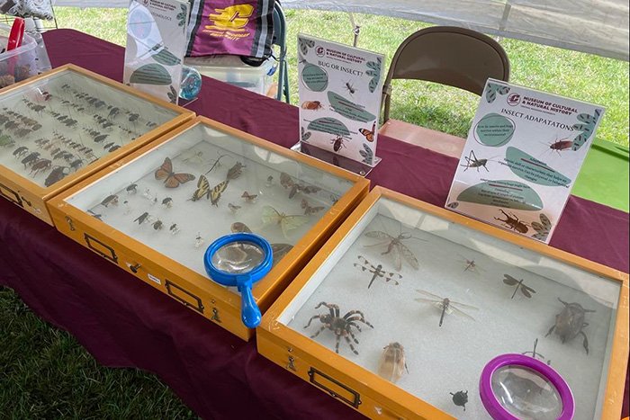 Museum Resources for Educators | Museum of Cultural and Natural History ...