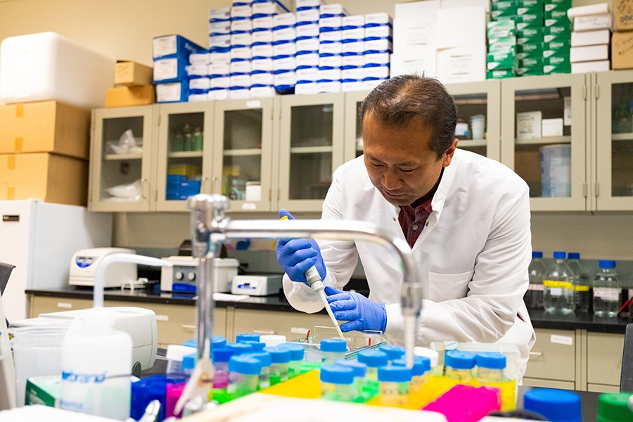 Experimental Psychology (MS) | Master's Degree | Central Michigan ...