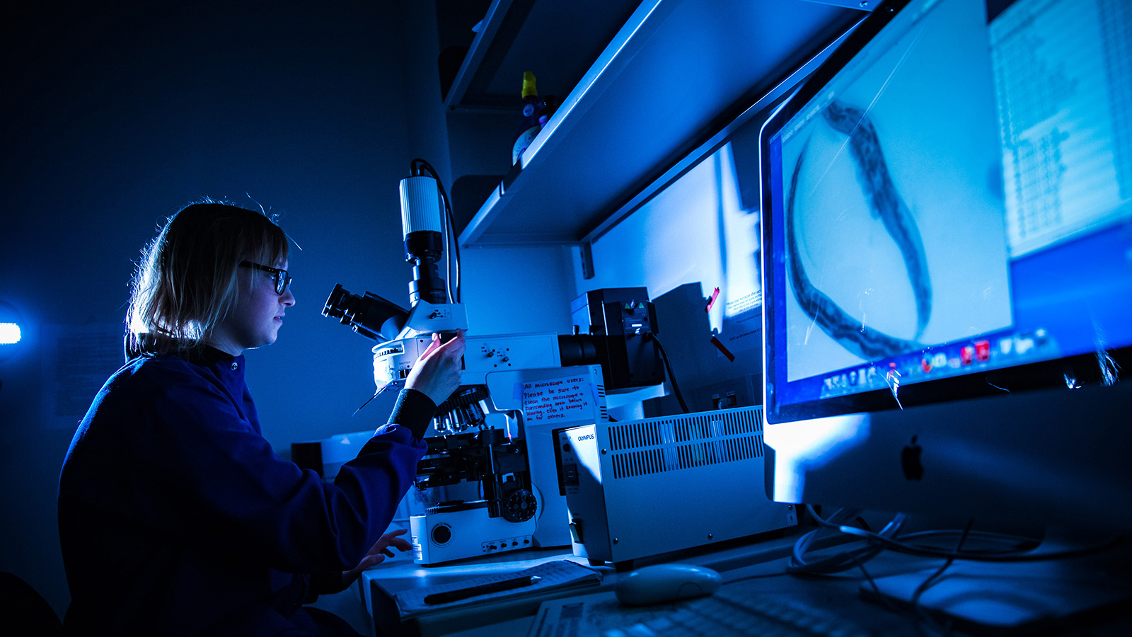 CMU launches new biotechnology program to meet growing industry demands