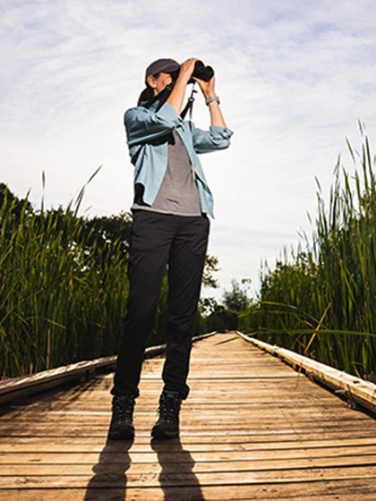 Biology: Ecology, Evolution and Conservation | Major | Central Michigan ...