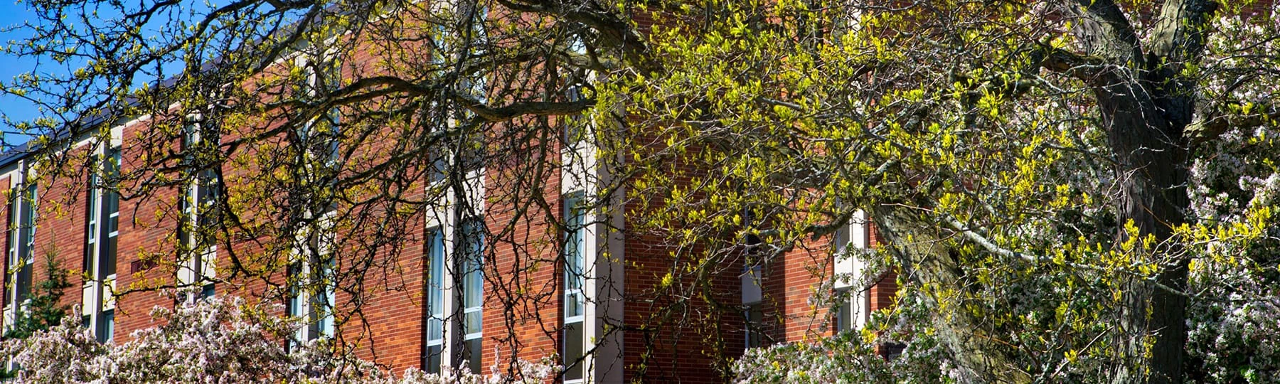 Physics (Ph.D.) | Doctorate Degree