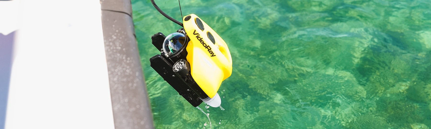 Science | Minor | Central Michigan University