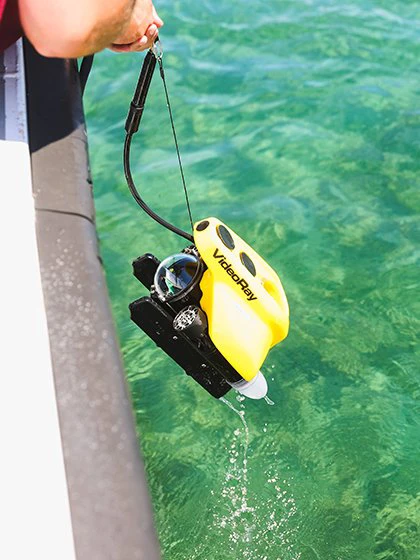 Science | Minor | Central Michigan University