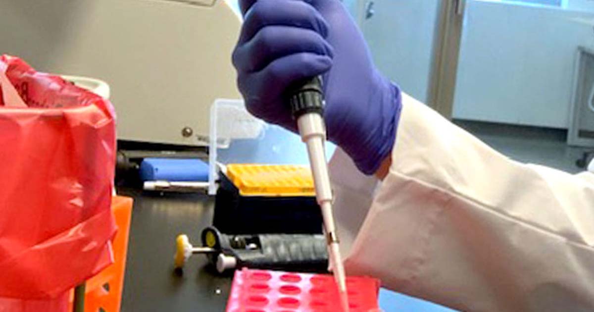 CMU research probes fish link to virus