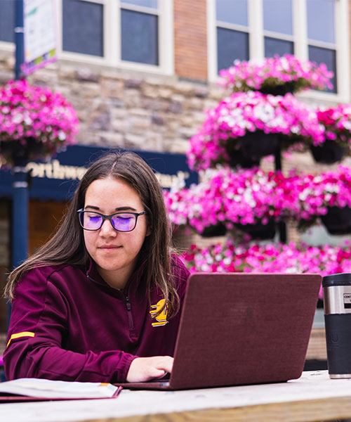 U.S. News and World Report ranks CMU among best online programs