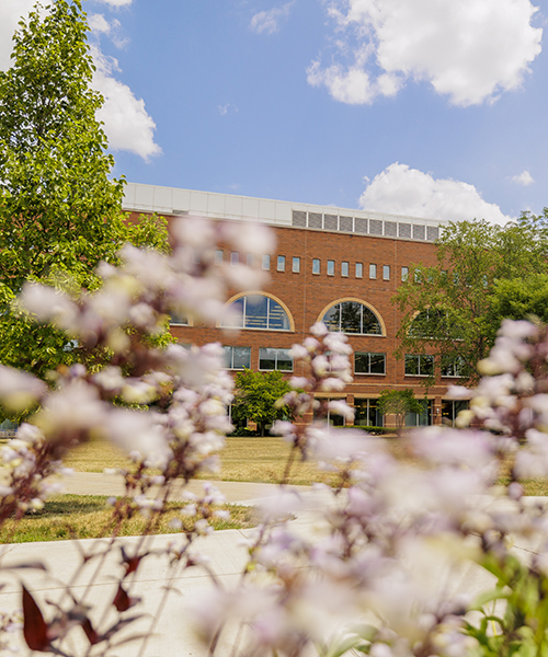 The week in photos: June 19-25