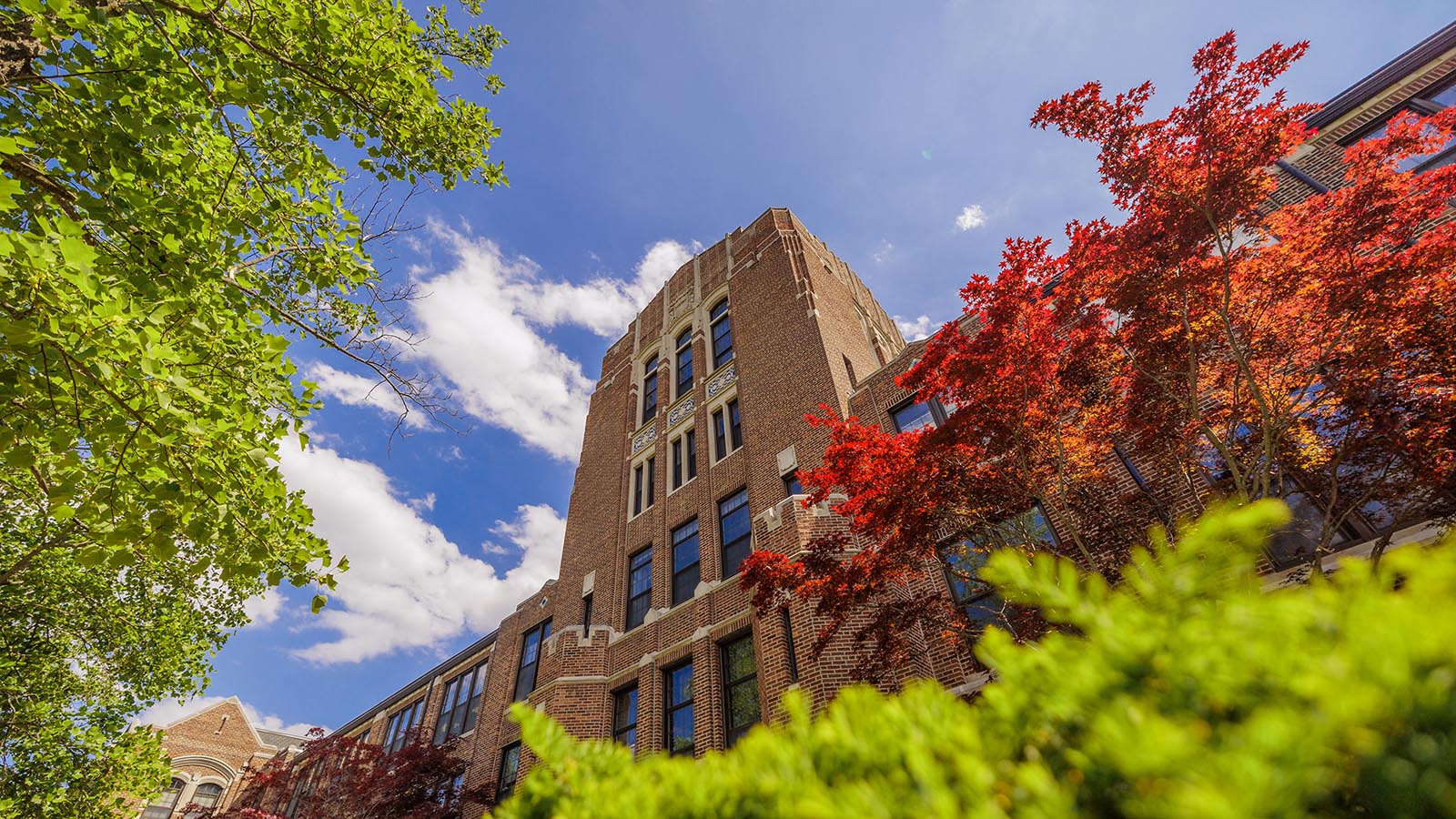 Two CMU graduate programs ranked in nation’s top 100
